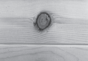 Structure of Timber - Civil Engineering Courses