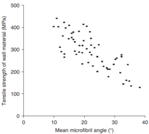 Factors Affecting Strength in Timber - Civil Engineering Courses