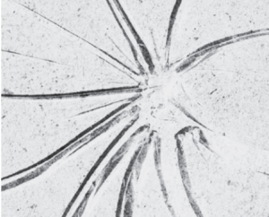 Properties of Glass - Civil Engineering Courses